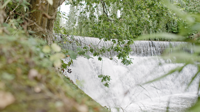 Congleton - Havannah Weir1