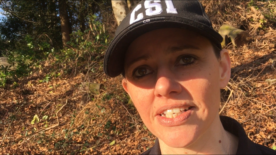 Ashleigh Hunt | University of Cumbria News