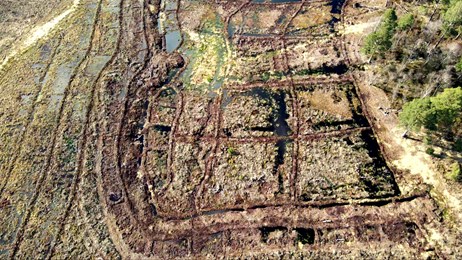 Aerial shot of the cell bunding work ©NatureScot