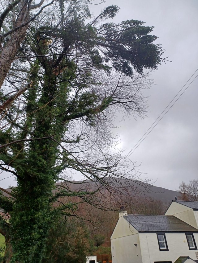 Branch snapped Stairs, Keswick 1