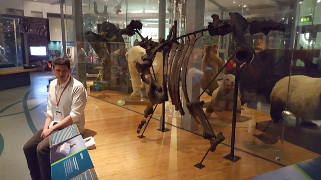 Creative youngsters bring museum’s fascinating fossilised hippo back to ...
