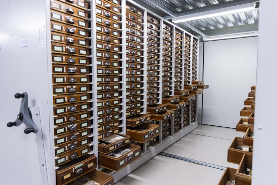 Natural Sciences at the National Museums Collection Centre © Duncan ...