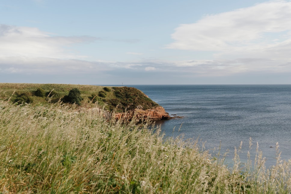 Berwick (2) | Haven News