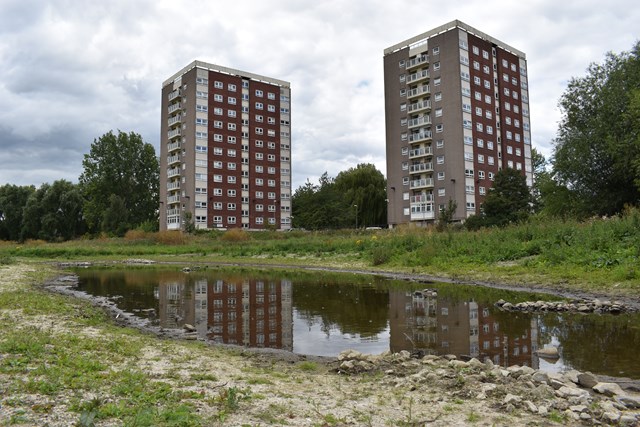 2. New ponds
