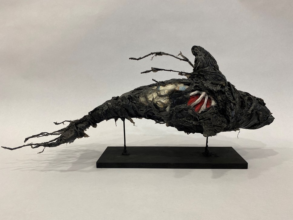 Big Draw 2020 Ellie Fox Wail! | University of Cumbria News