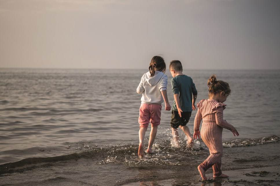 Craig Tara beach | Haven News