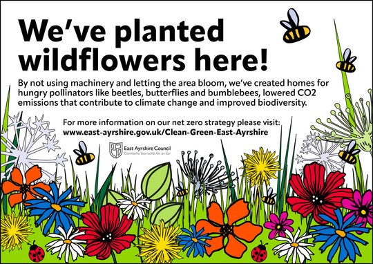 Wildflower signage | East Ayrshire Council News