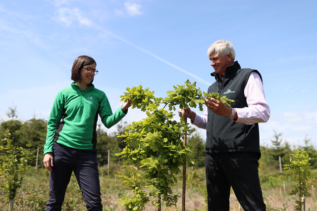 330,000 trees planted through HS2 Woodland Fund projects