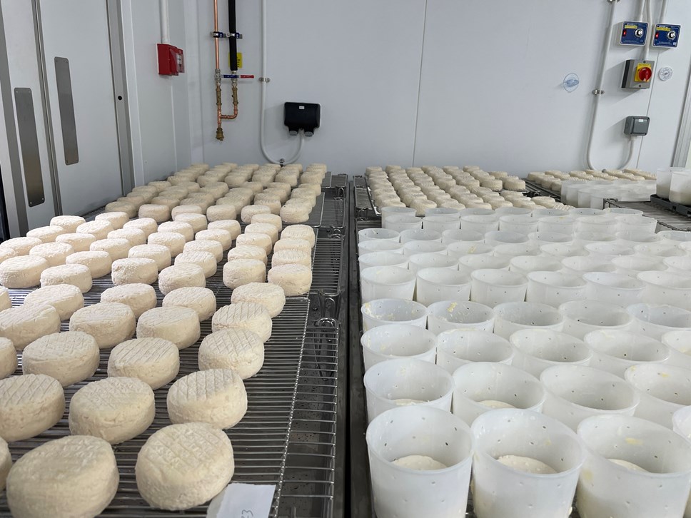 Cosyn Cymru 2 | Welsh Government News