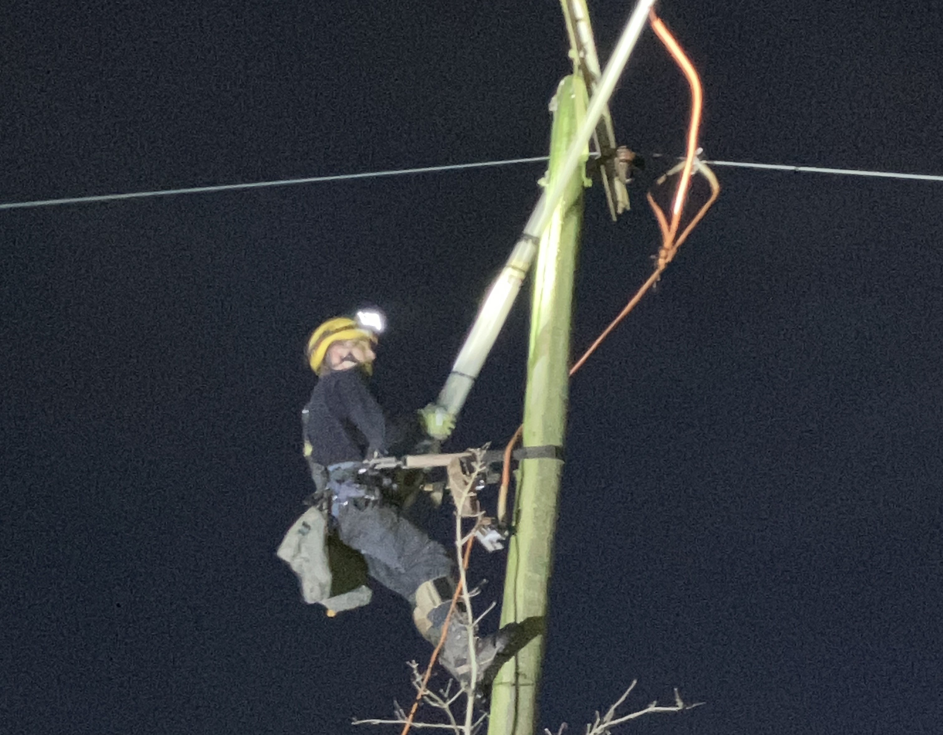 Power reconnected to all customers following Storm Henk disruption ...