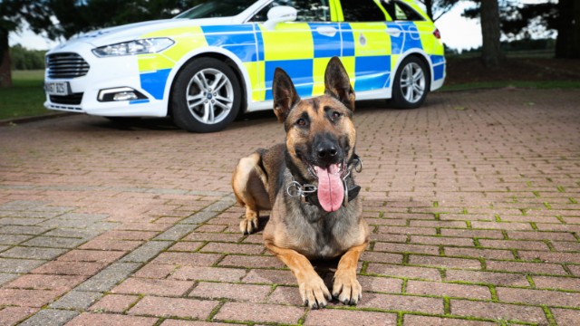 Public consultation on NPCC Police Dog Standard