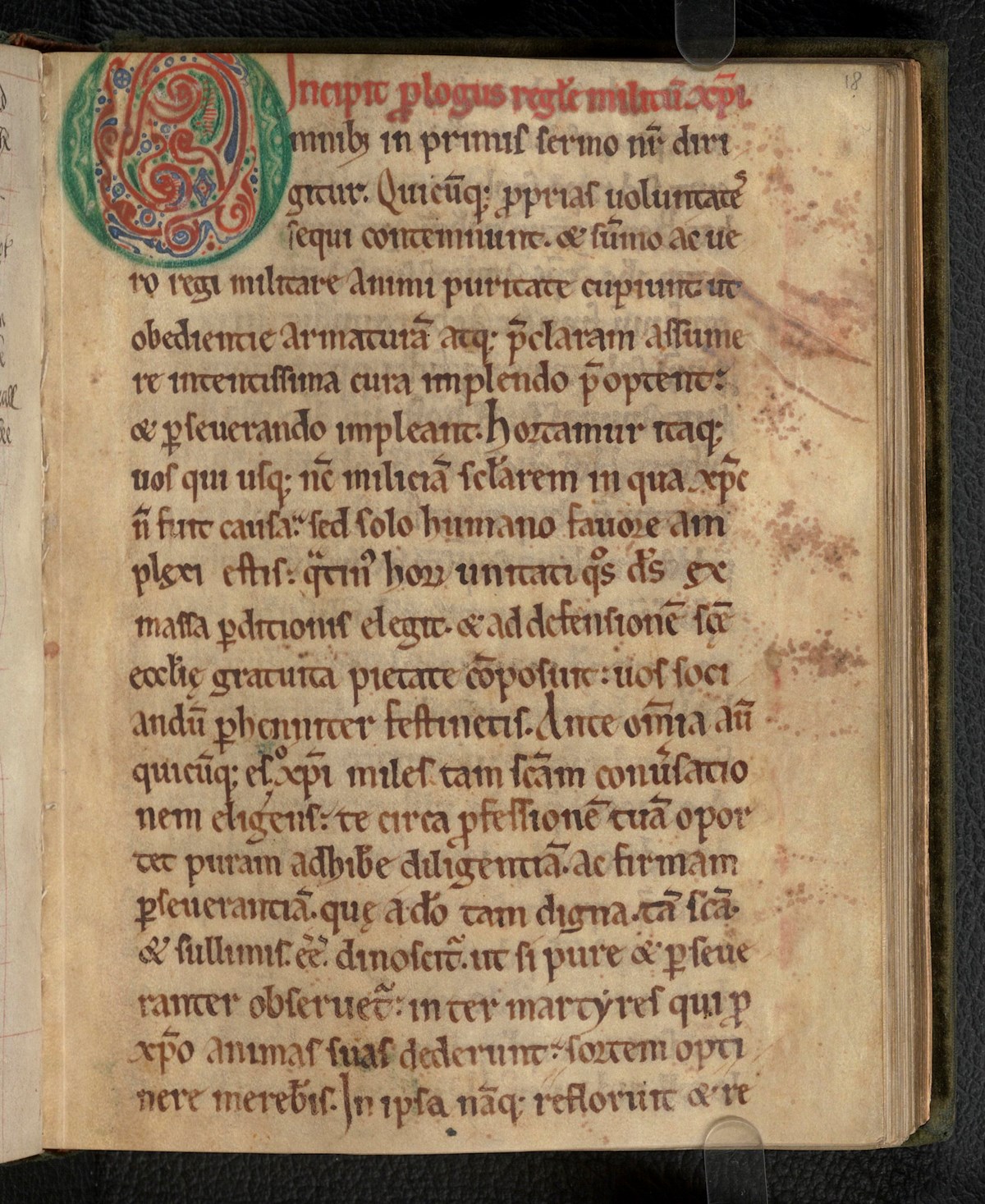 Rule of the Knights Templar | National Library of Scotland Newsroom Rule of the Knights Templar | National Library of Scotland Newsroom