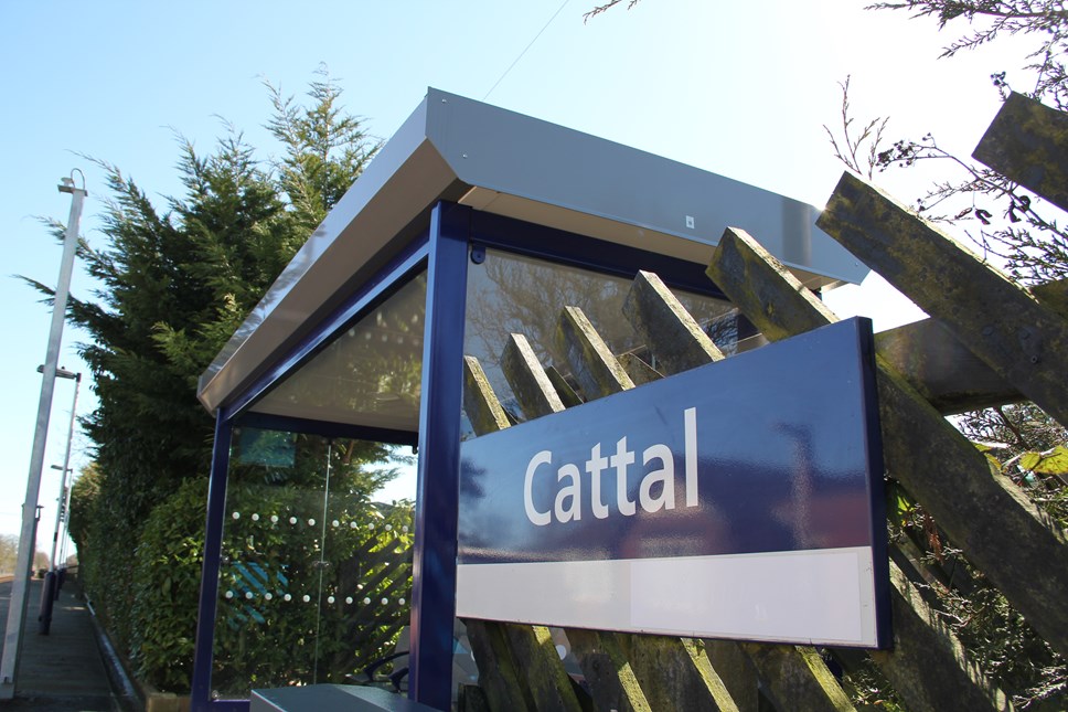 Cattal 1 | Northern News