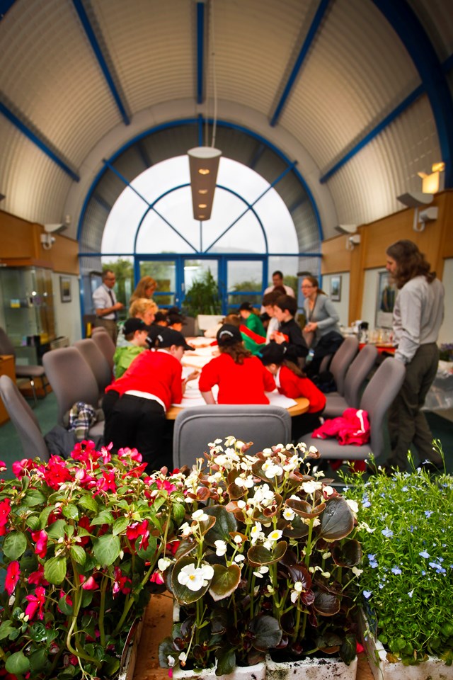 Schools help Siemens in Bloom in Llanberis