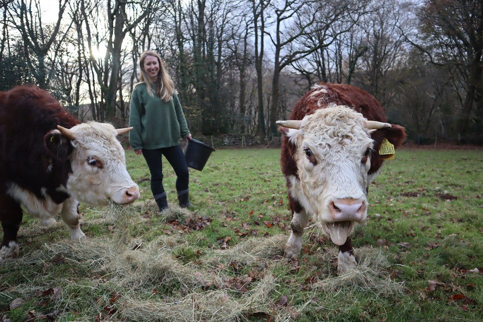 Emily Crawley, of Grazing Management - 2 | Forest of Dean District ...