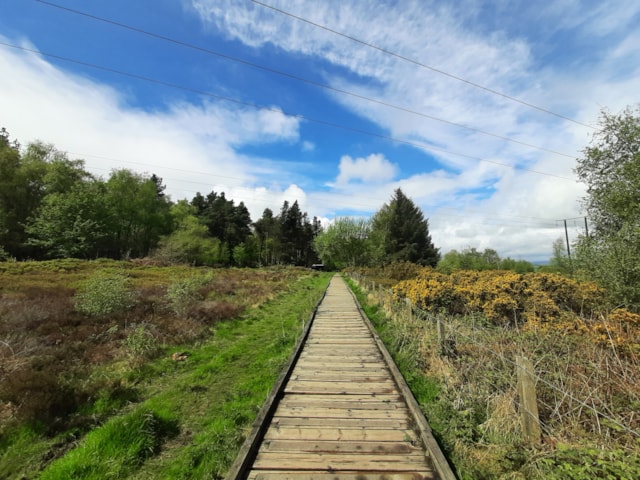 Seven Leeds parks awarded as some of the best in the country