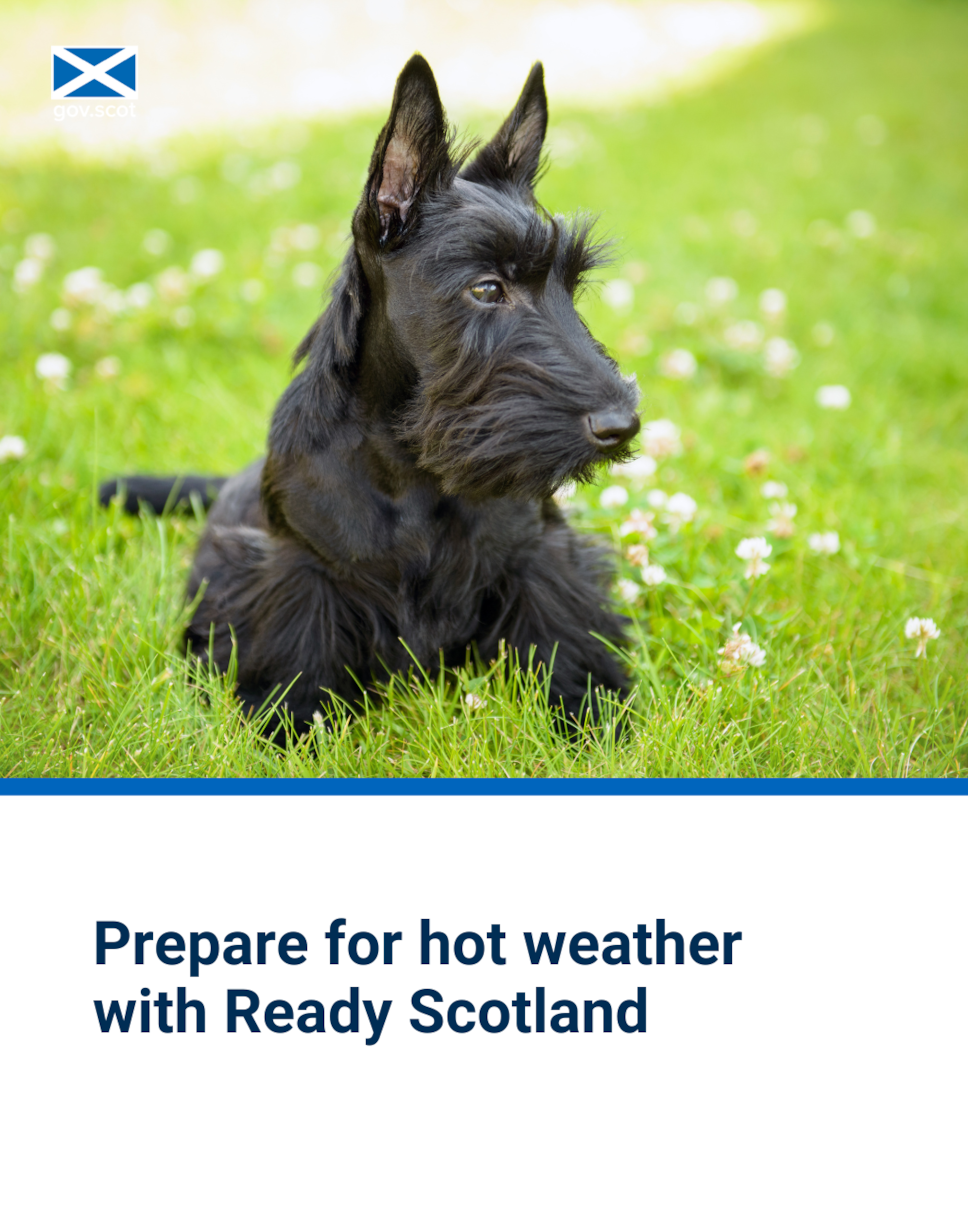 Scottie - Portrait - Hot Weather - SG Resilience - June 2025 | Scottish ...