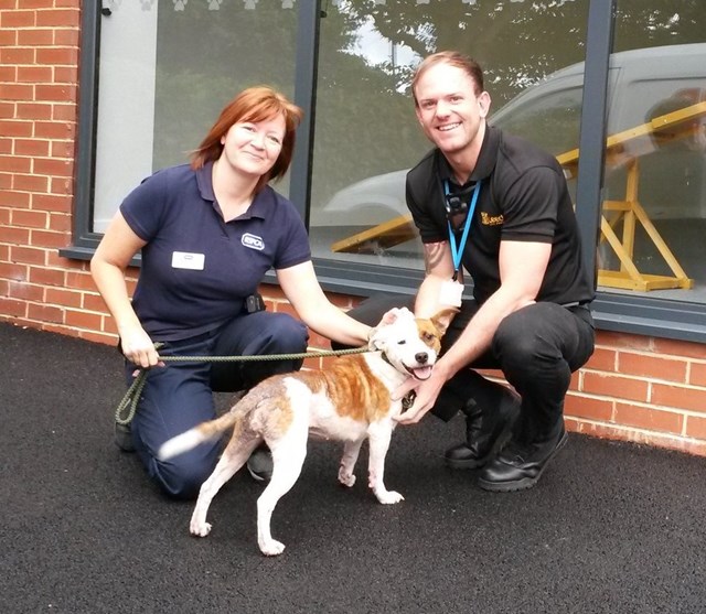 Pet friendly council scoops three RSPCA awards
