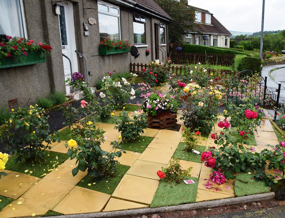 Mr Paton 1 | East Ayrshire Council News