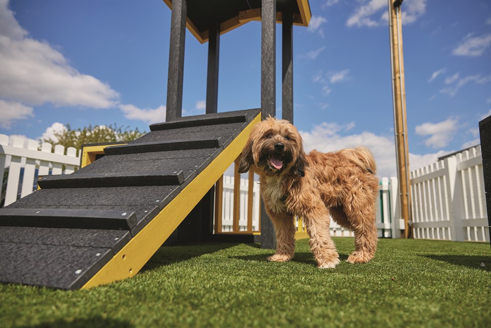 Bark Yard at Skegness | Haven News