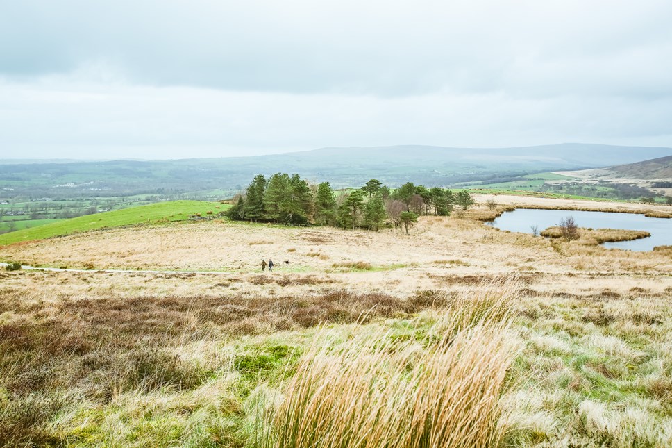 Steps at Nicky Nook will be repaired | Lancashire County Council News
