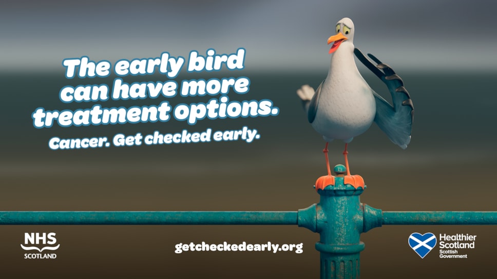 Public Information Screen Asset - More treatment options (seagull with ...