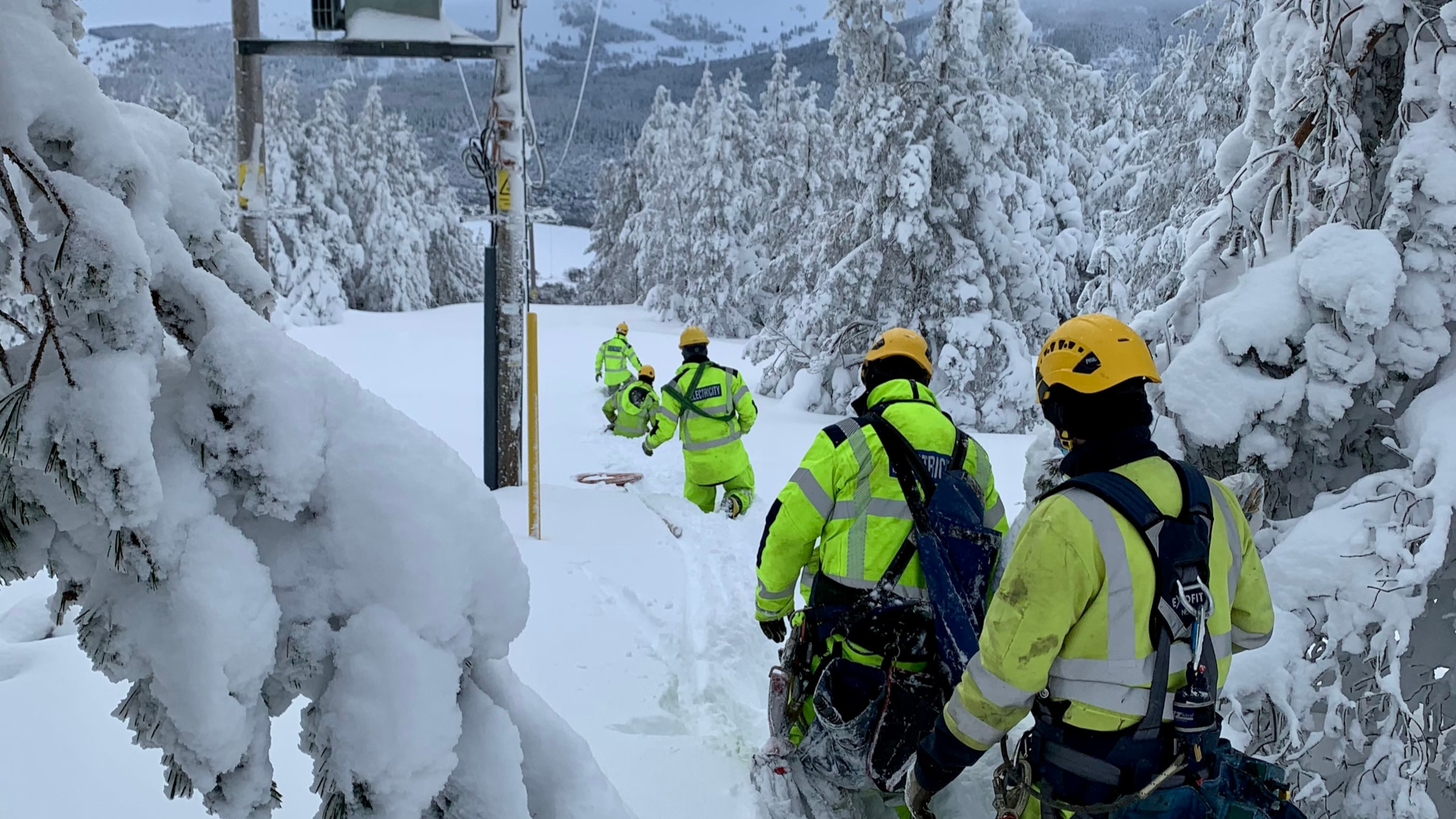 Electricity networks prepare for Storm Bert – Energy Networks ...
